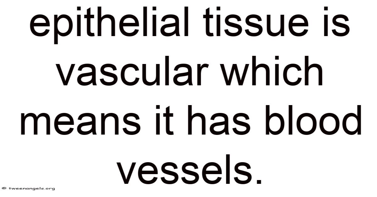Epithelial Tissue Is Vascular Which Means It Has Blood Vessels.