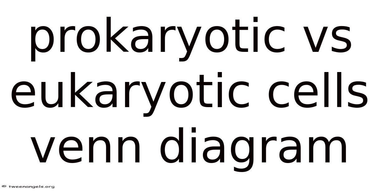 Prokaryotic Vs Eukaryotic Cells Venn Diagram