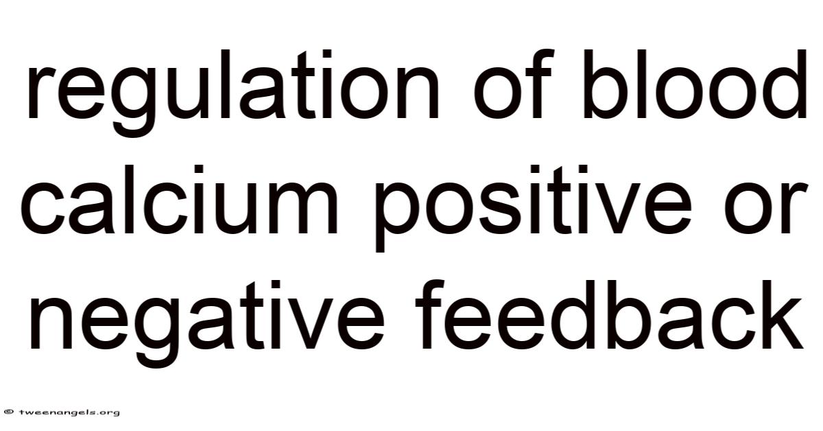 Regulation Of Blood Calcium Positive Or Negative Feedback